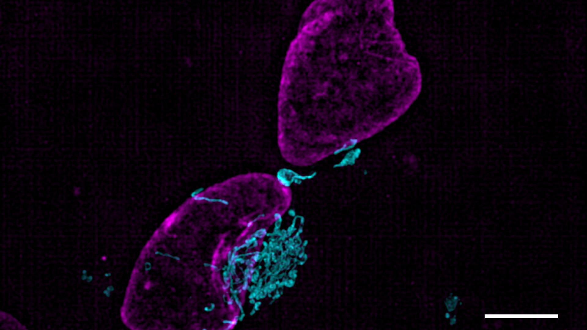 Core Facilities: Warum geteilte Infrastruktur die bessere Infrastruktur ...
